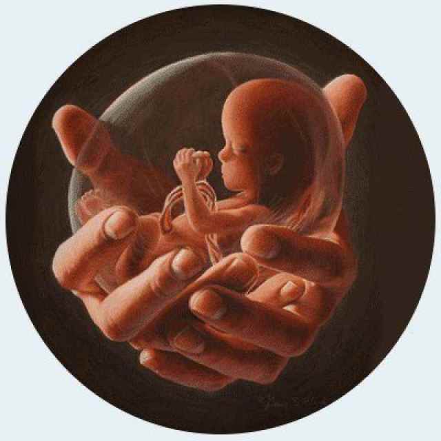 What Leftism does to faith | Stella's Place