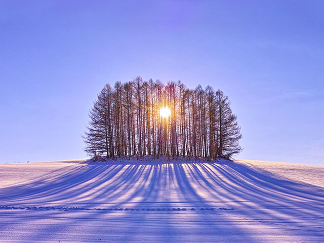Winter solstice – December 21, 2025 | Stella's Place