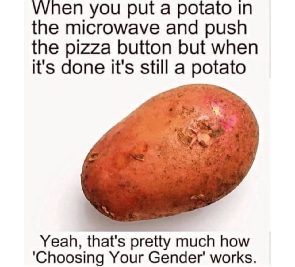 Stella's Place | Politics | Talk | Opinion – Contact Info: stellasplace ...